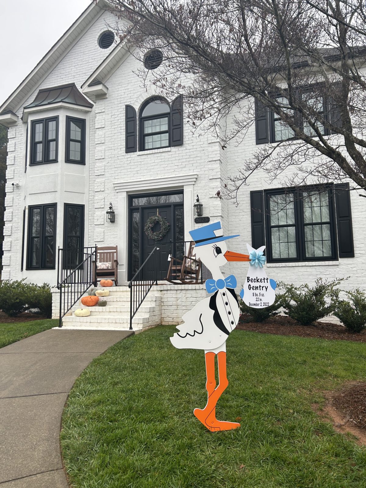 Stork Baby Announcement Signs in Winston Salem, NC and surrounding ...